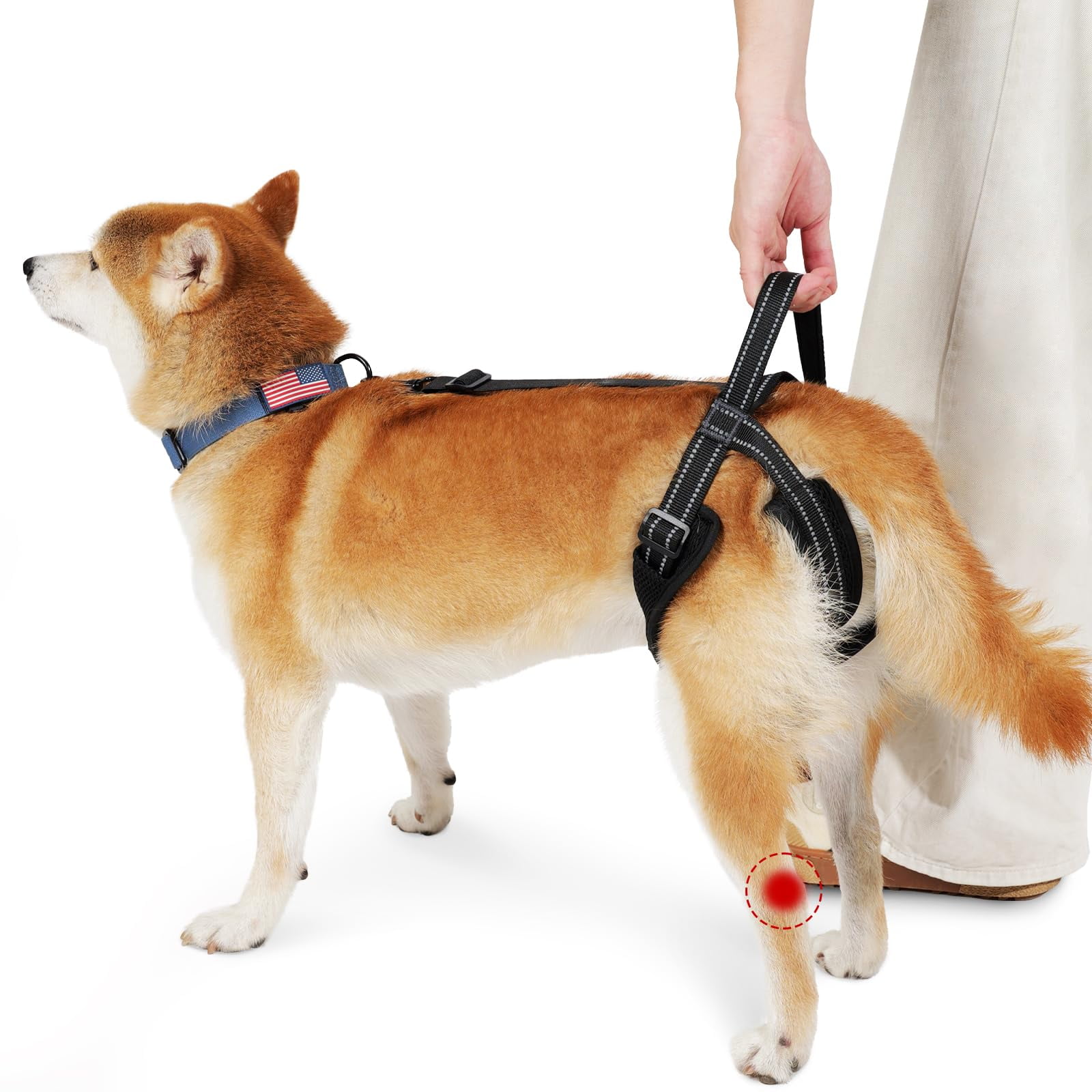 Pet Dog Support Harness Rear Lifting Harness For Back Legs Reflective ...