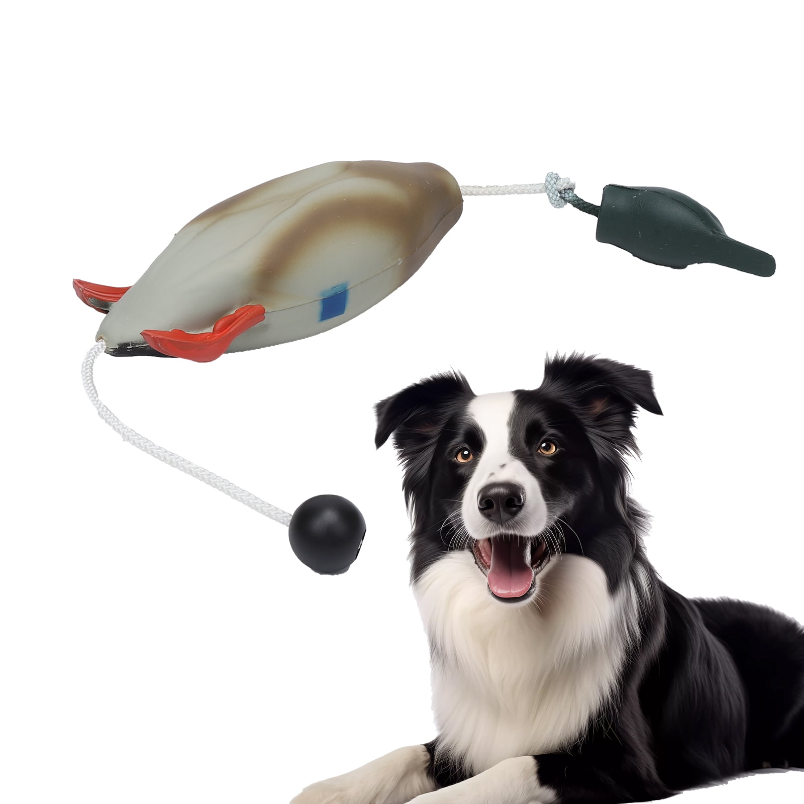 Pet Dog Training Fake Duck The Bird Dummy Teaches Mallard Waterfowl ...