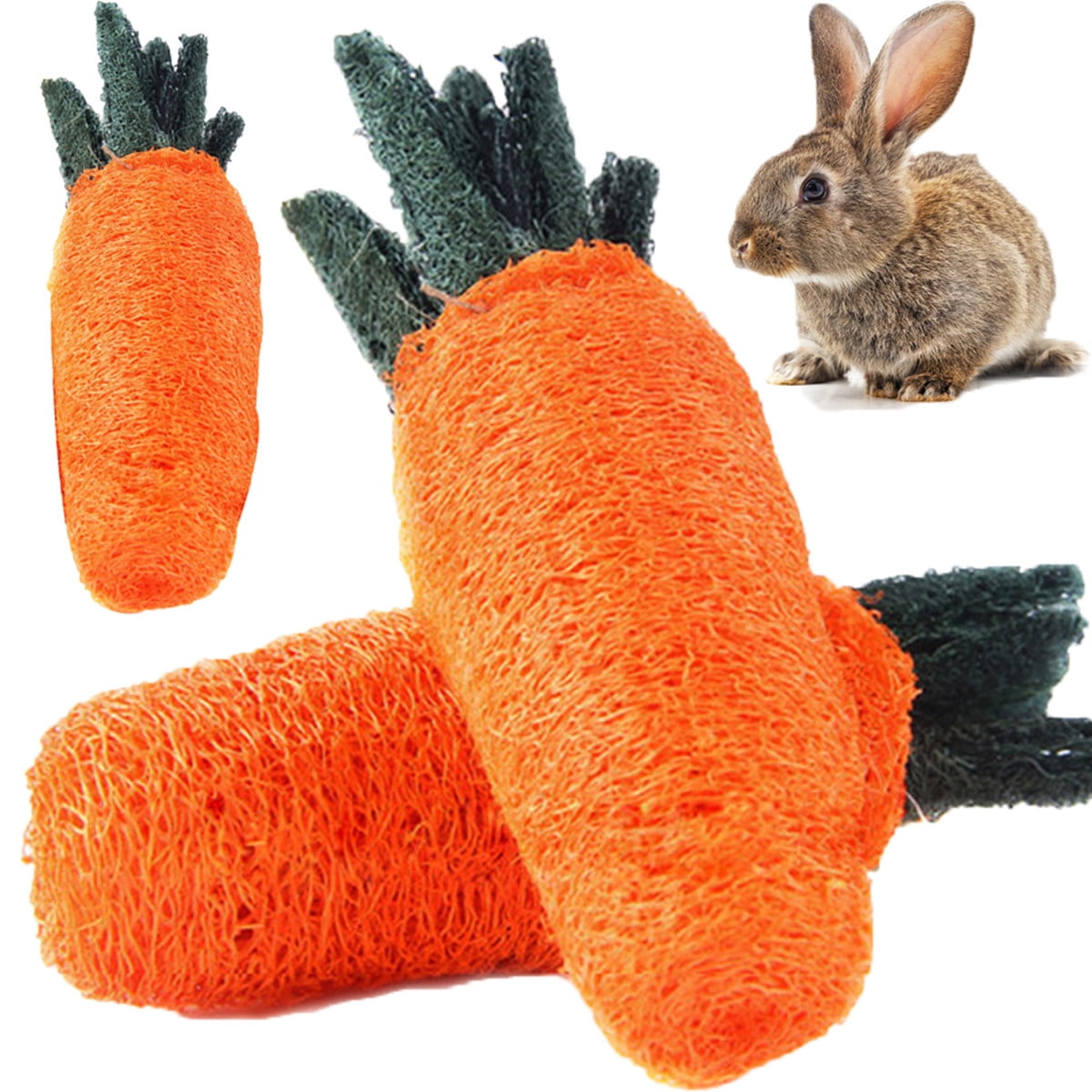 Pet Enjoy 10Pcs Rabbits Chew Toy,Rabbit Carrot Chew Toys for Teething ...