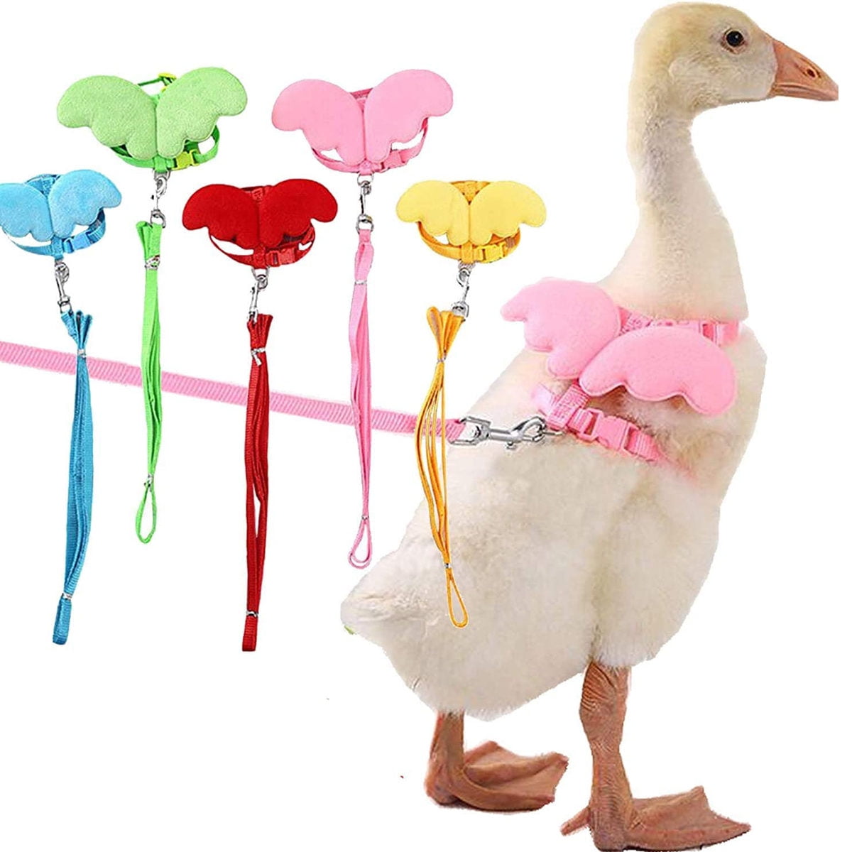Pet Enjoy Duck Outside Walking Harness Leash,Cute Pet Hen Chickens ...