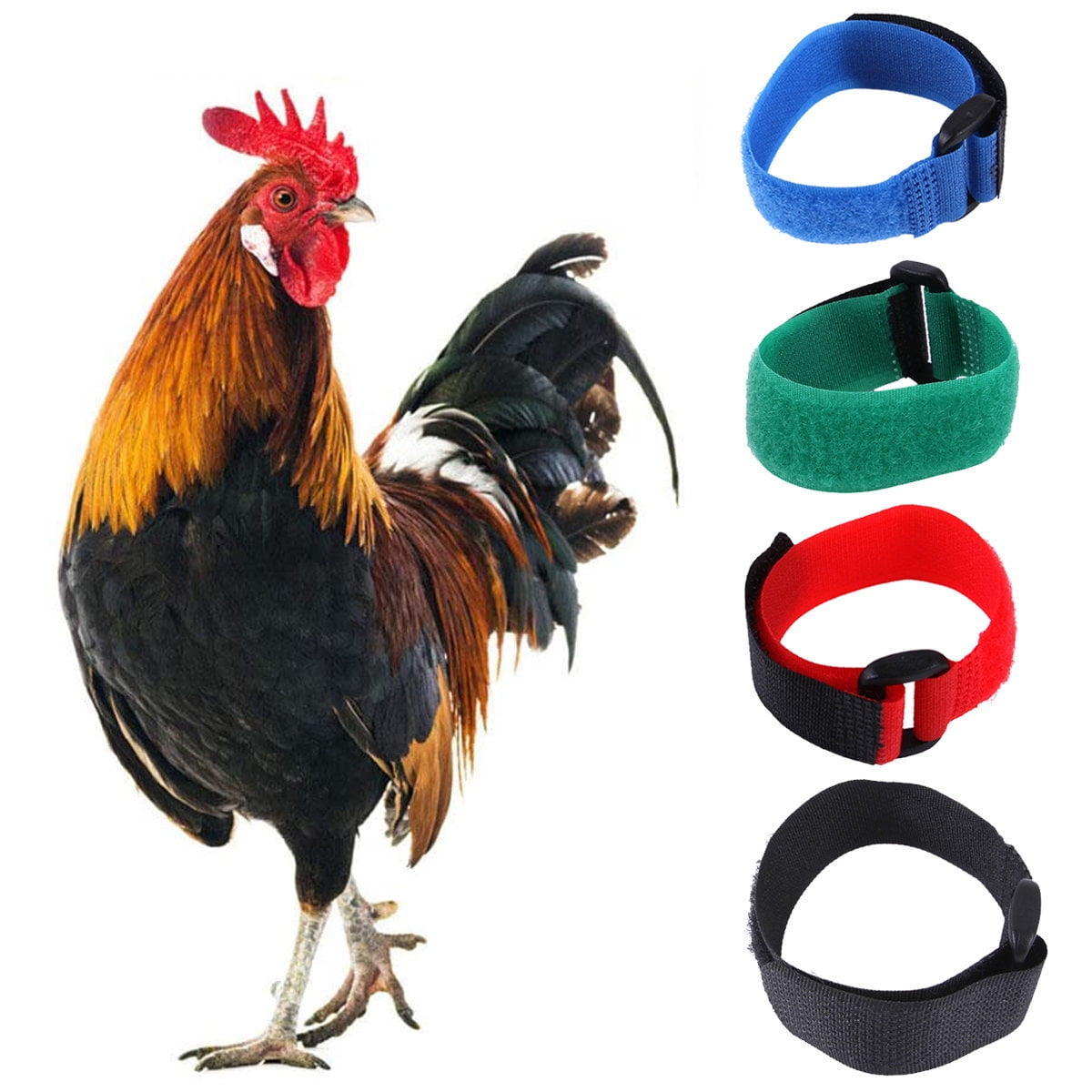 Pet Enjoy Nylon Adjustable Choke Rooster Collar, 20cm, 2 Pieces Set ...