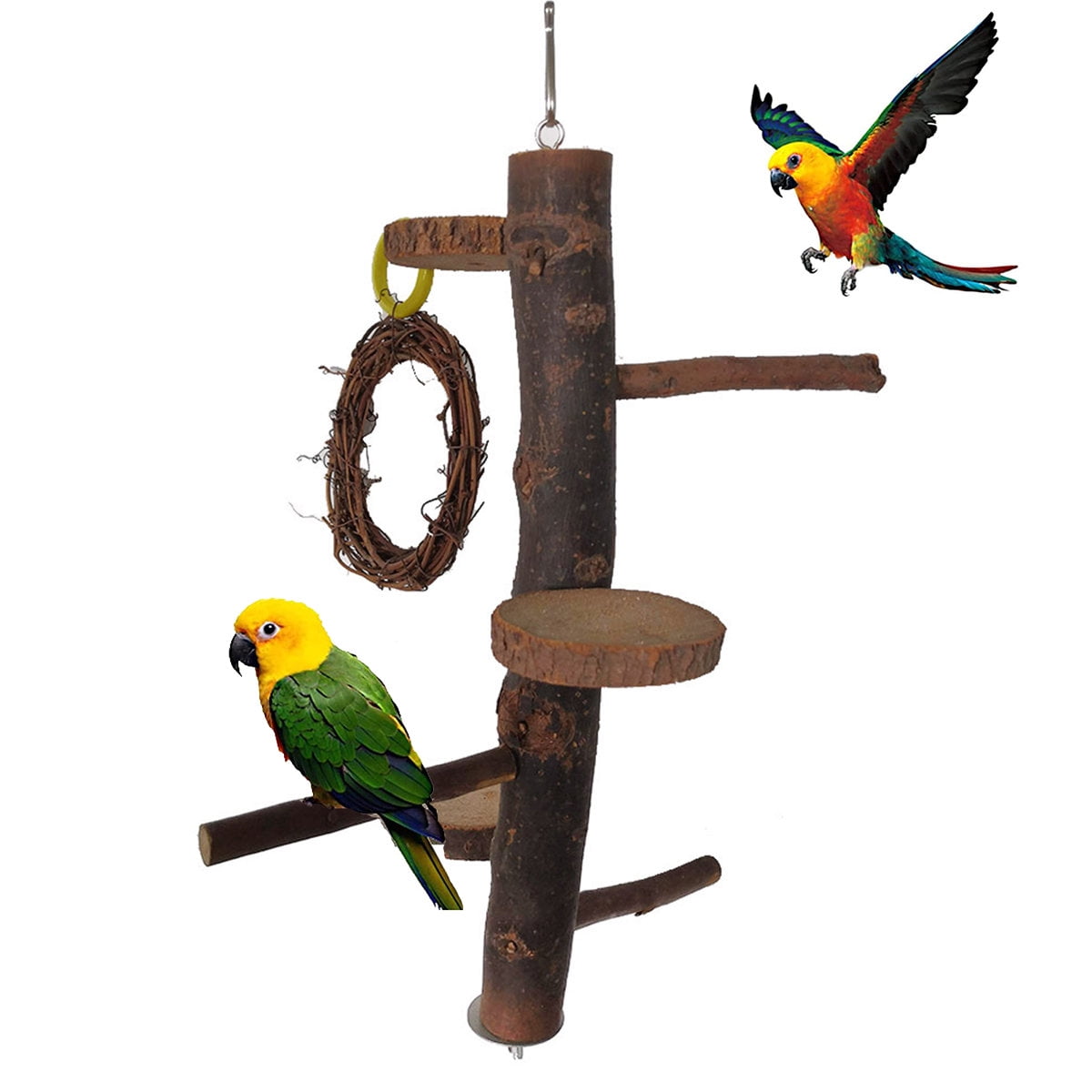 Pet Enjoy Parrot Bird Perch Stand,Natural Wood Parrot Perch Tree Branch ...