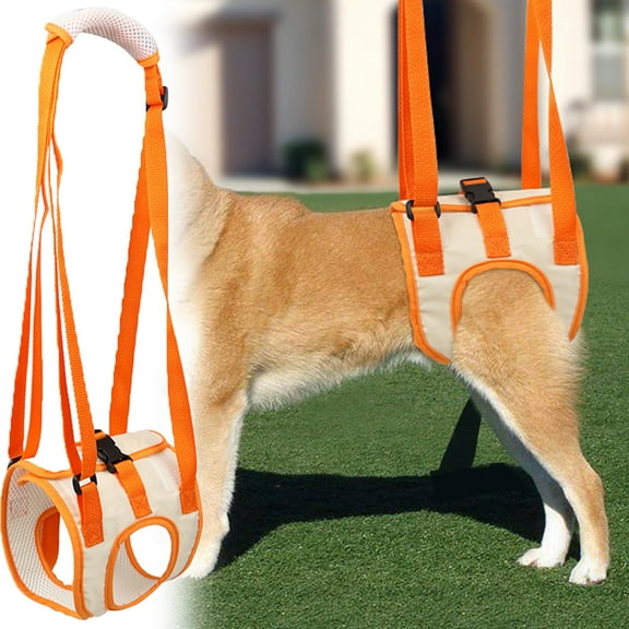 erfcxs Dog Leg Brace For Leg Dog Knee Clamp Leg Clamp For Dogs Leg Leg ...