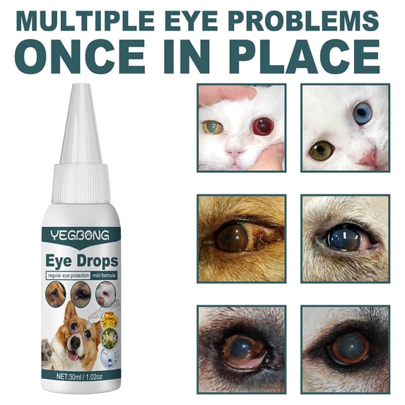 Pet Eye Drops Pet Eye Cleaning Eye Drops For Cats Dogs Home Dog Eye ...
