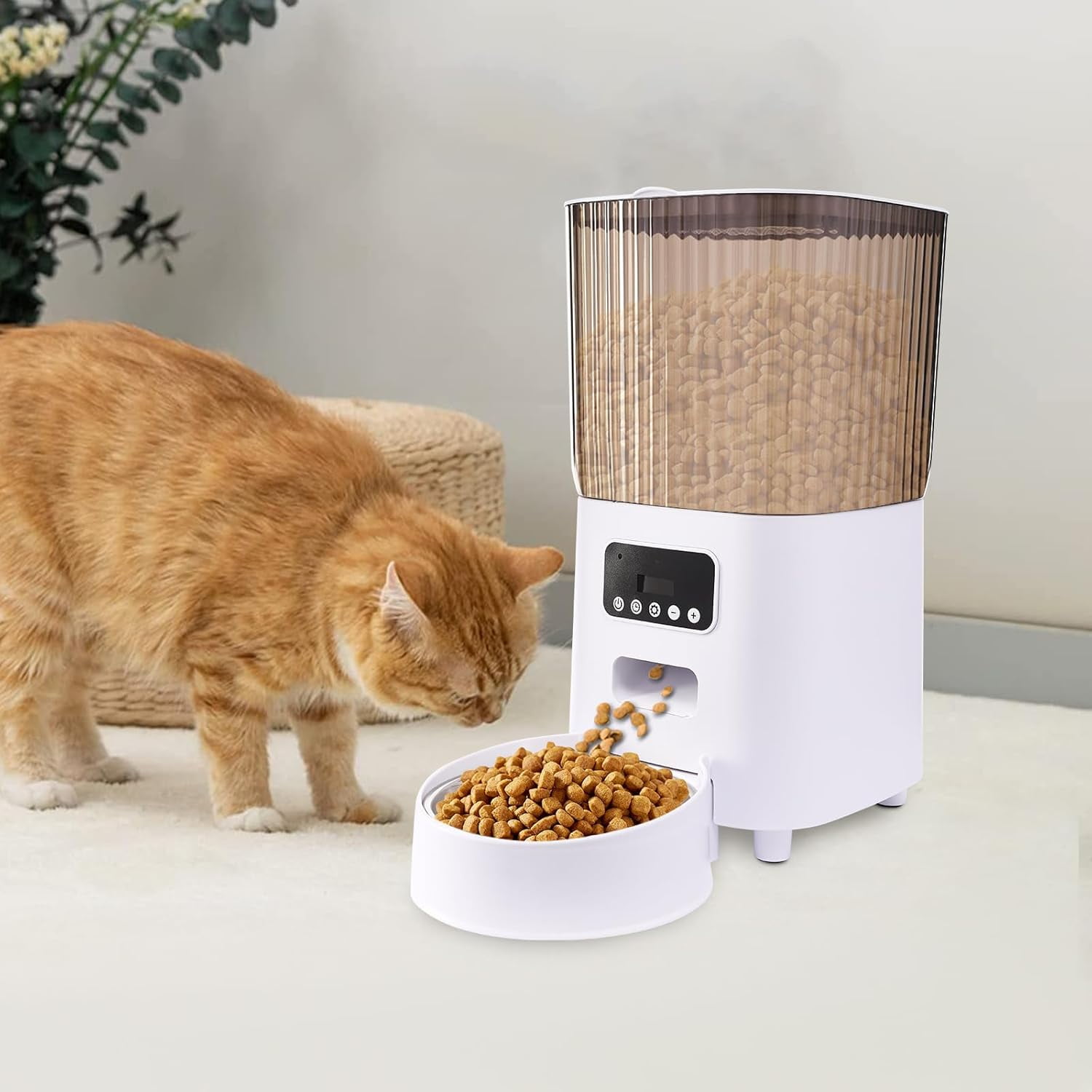 Pet Feeder Automatic Cat Feeder, 5L Smart Cat Food Dispenser, Timed Cat ...