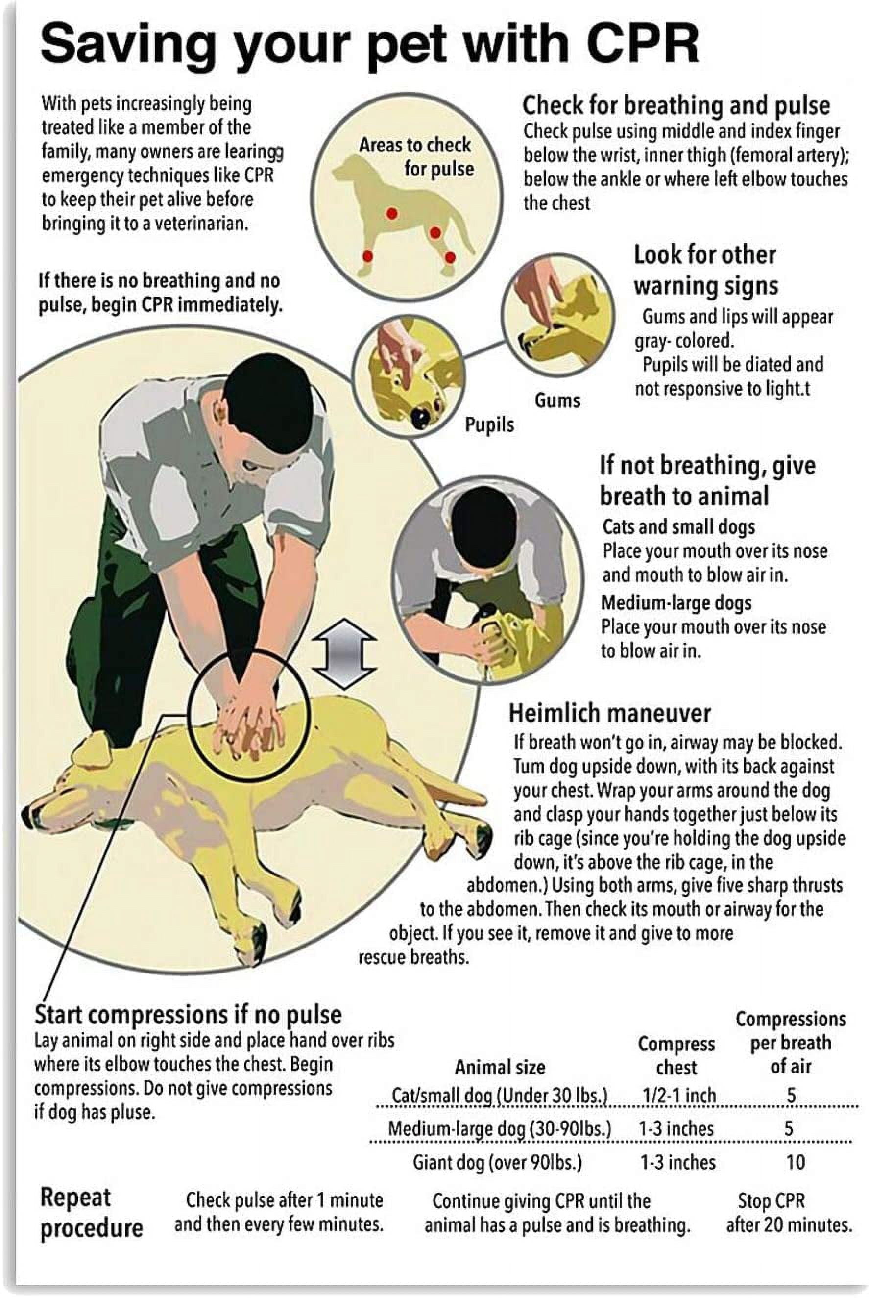 Pet First Aid Knowledge Metal Tin Signs Vintage Saving Your Pet With ...