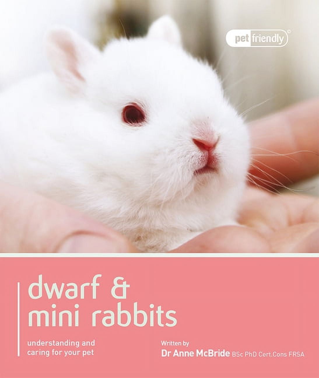 Pet Friendly: Dwarf & Mini Rabbits. (Paperback) - Walmart.com