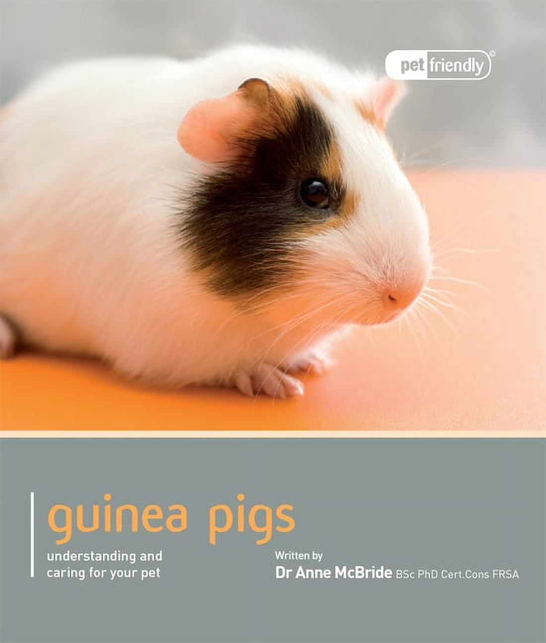 Pet Friendly: Guinea Pig: Understanding and Caring for Your Pet ...