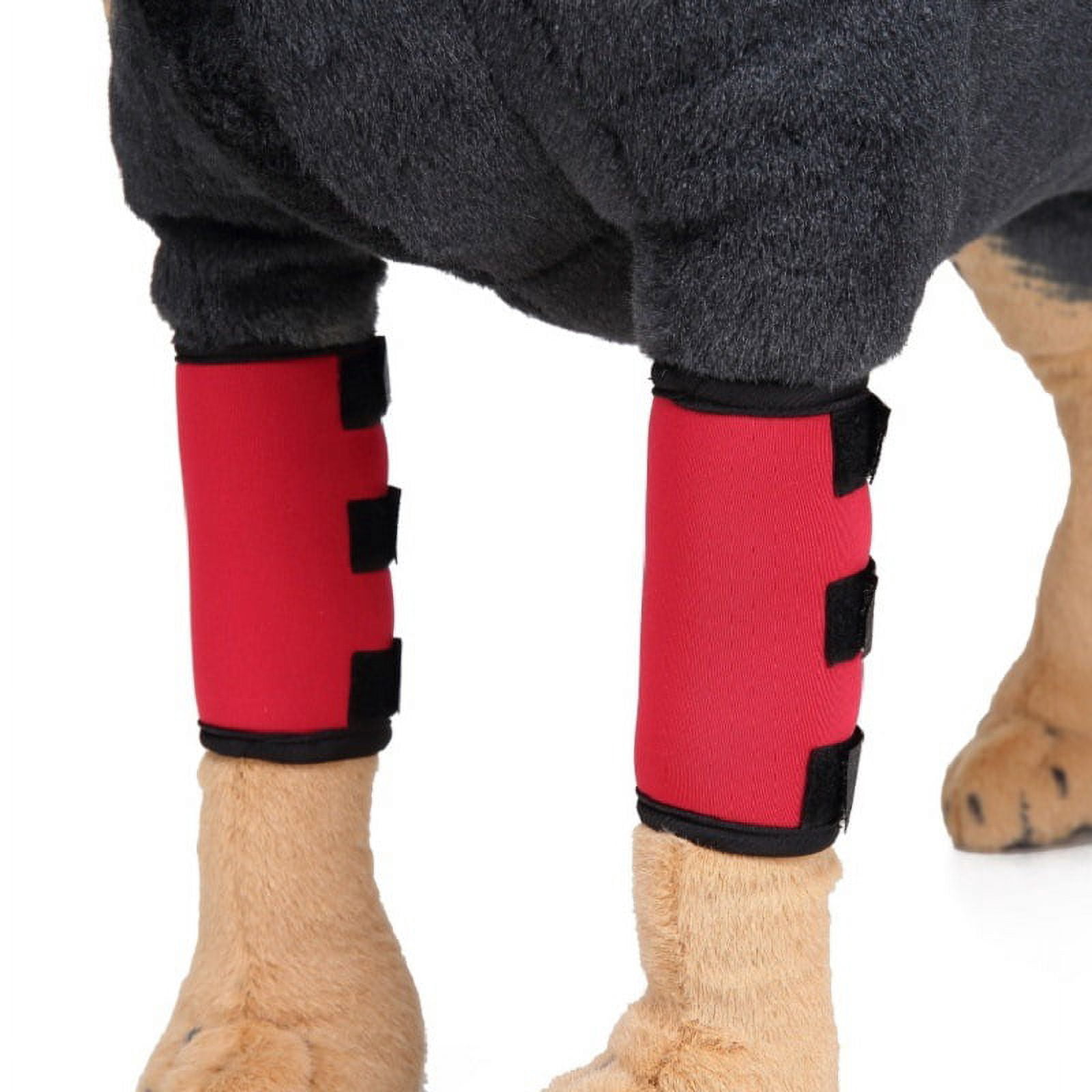 Pet Front Leg Brace Dog Leg Compression Wrap Canine Joint Pain ...