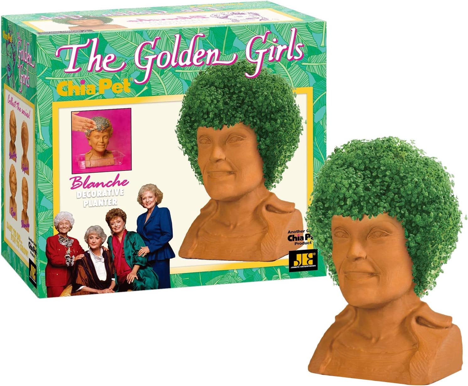 Pet Golden Girls Blanche with Seed Pack, Decorative Pottery Planter ...