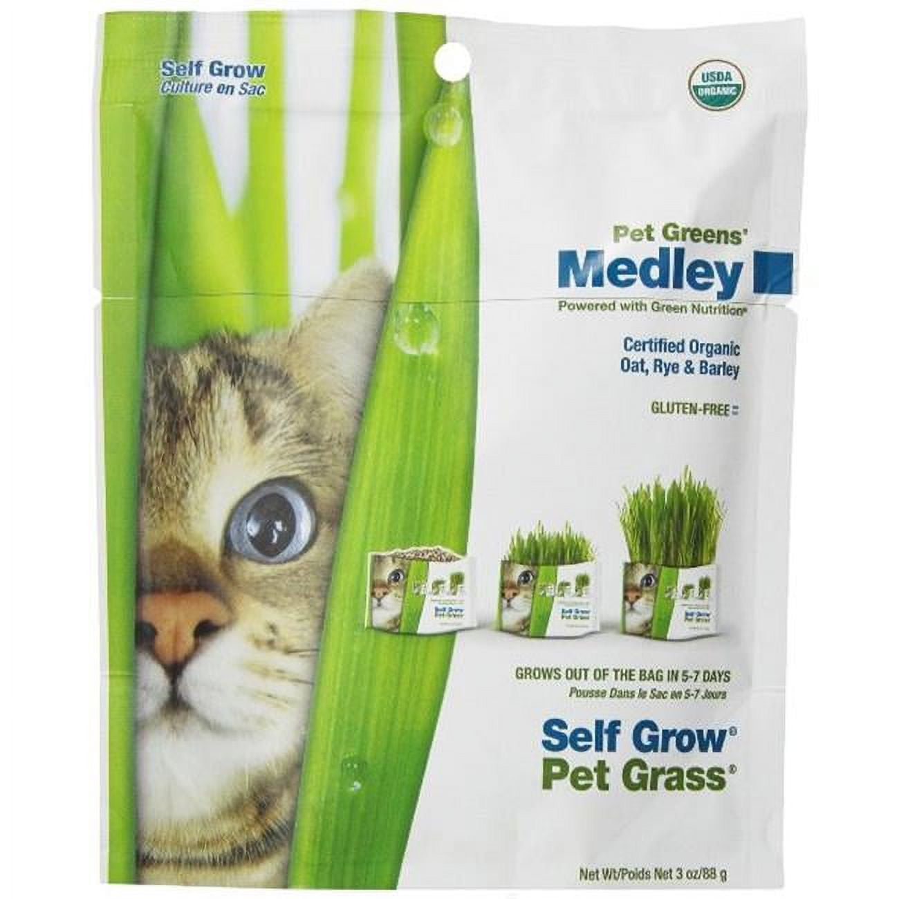Pet Greens Medley Pet Grass Self-Grow Kit Organic Oat, Rye, Barley ...