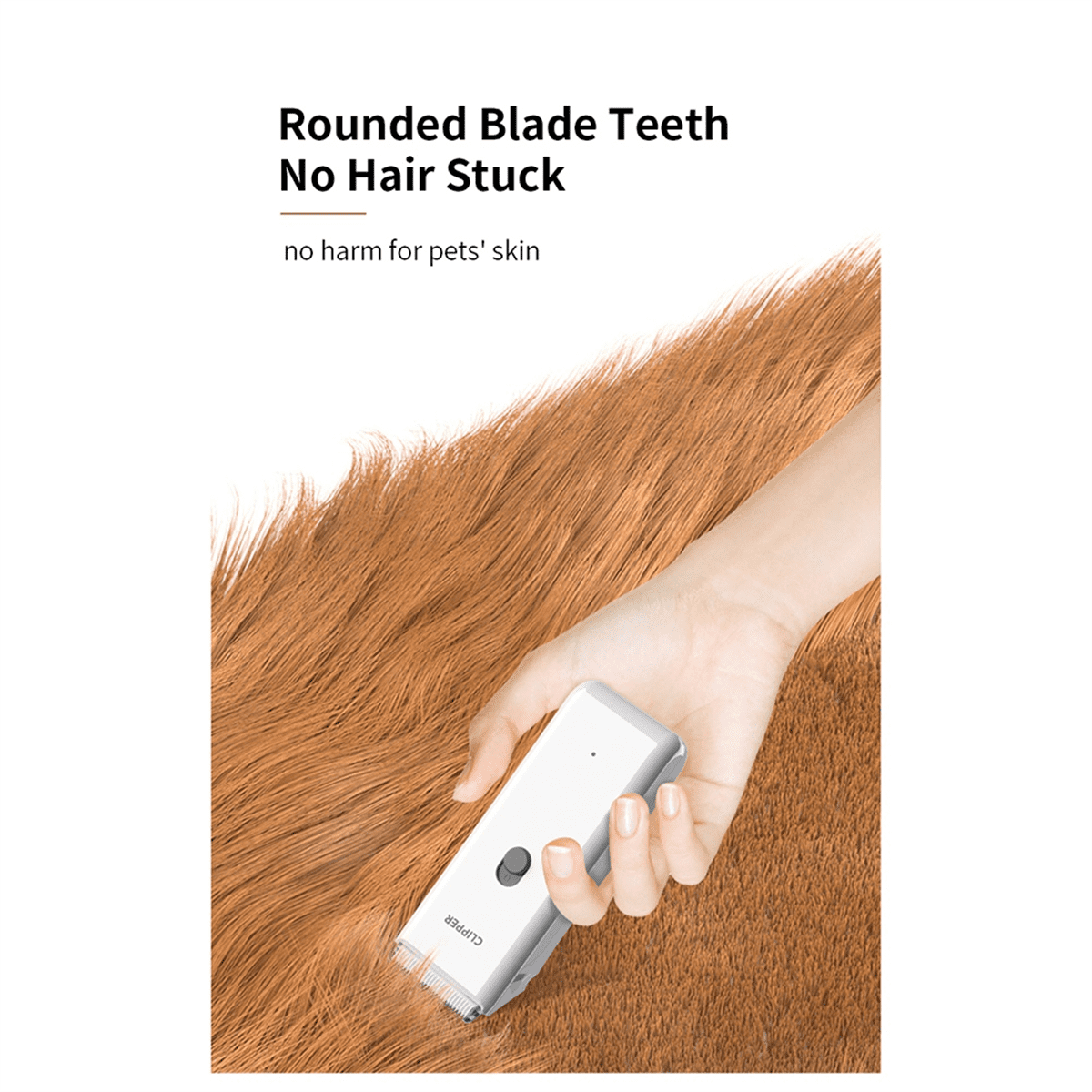 Pet Grooming Hospital Kittens and Puppies Mute Electric Push Clippers ...