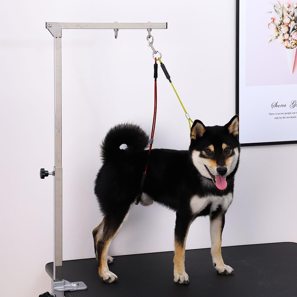 Pet Grooming Loop For Dogs - Fits Most No Sit Haunch Holder Pet ...