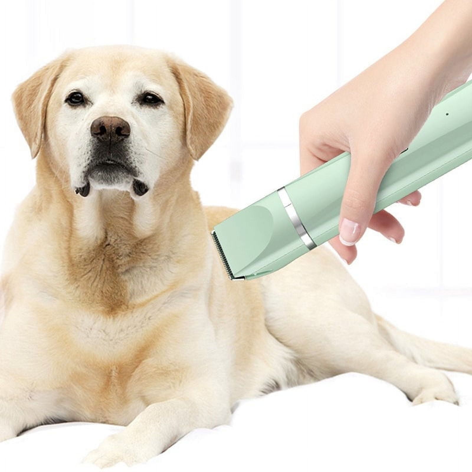 Pet Hair 4 in 1 Rechargeable Low Noise Dog Hair Remover with 10ML ...