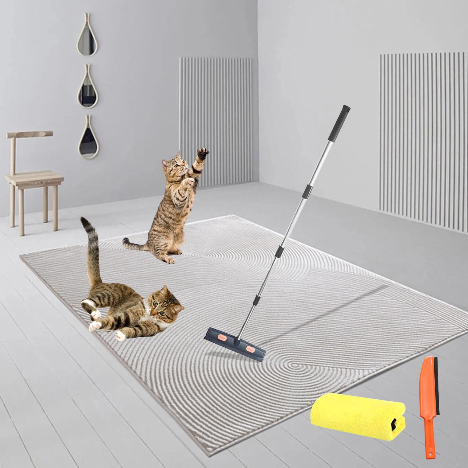 Pet Hair Remover, Dog Hair Carpet Rake, with Telescopic Handle Portable ...