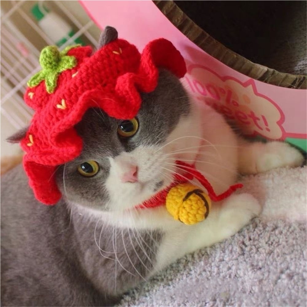 Pet Headsets, Cat and Dog Weaving Hats, cosplay Props, Headwear, Funny ...