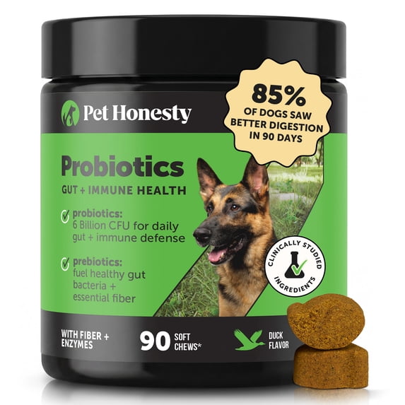 Pet Honesty Digestive Probiotic Chews for Dogs, Duck Flavor, Supports ...
