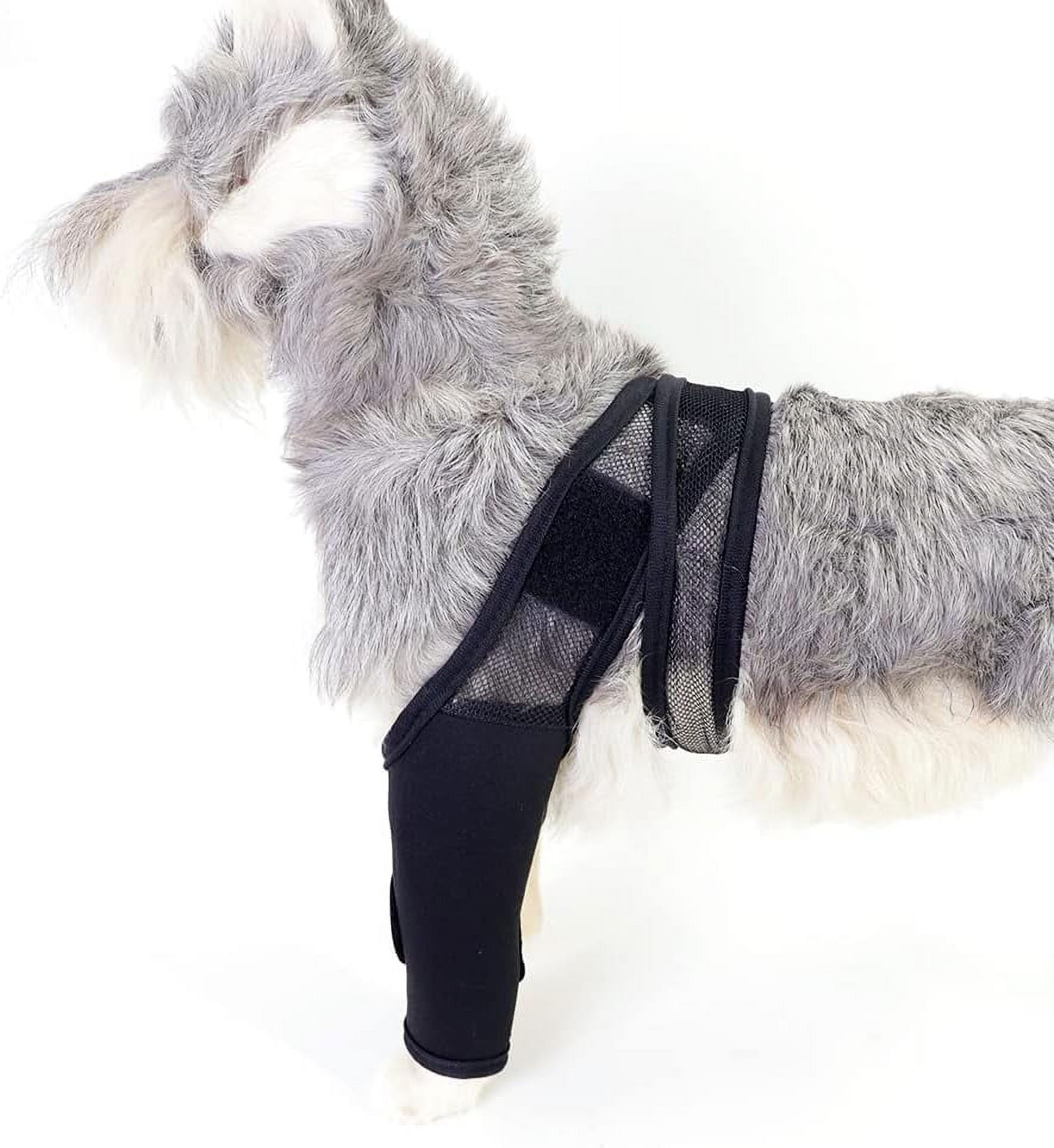 Pet Injuries Double Hind Leg Protector Knee Brace Strap Protection Dogs ...