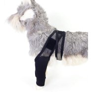 NeoAlly Super Supportive Dog Braces for Rear Leg and Hock Joint with ...