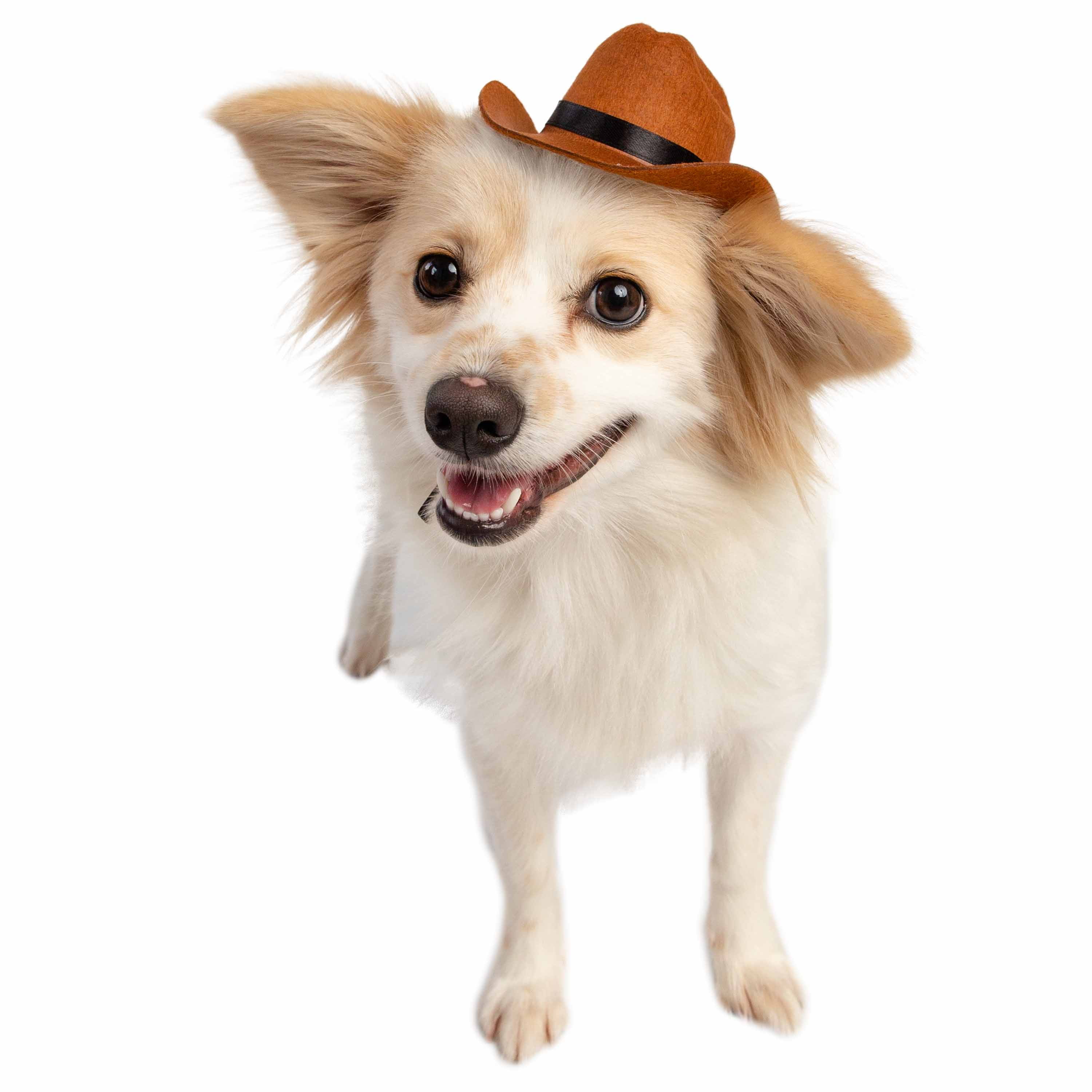 Pet Krewe Cowboy Hat Dog Costume for Cats and Dogs | Pet Costume for ...