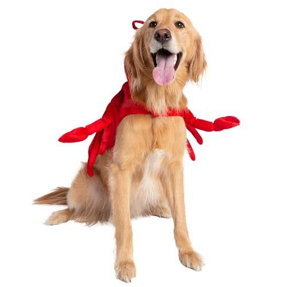 Pet Krewe Dog Lobster Costume Large Fish Pet Costume for Dogs 1st ...