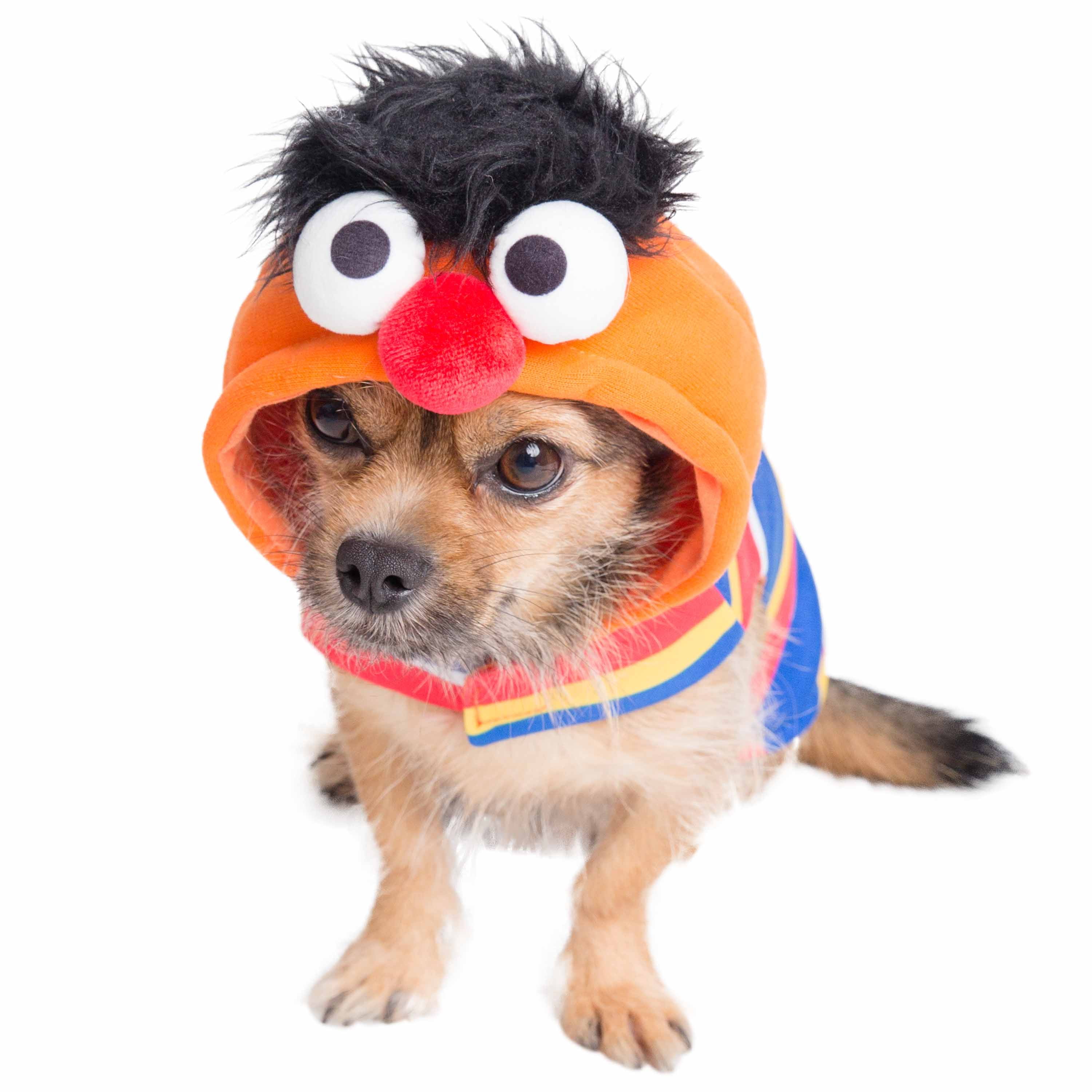 Pet Krewe Medium Ernie Costume - Sesame Street Ernie Dog Costume - Fits ...
