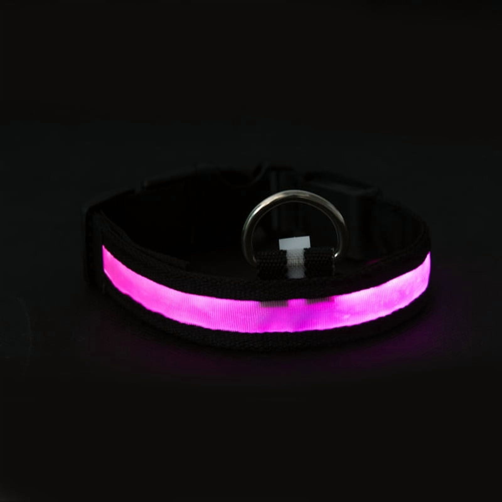 Pet LED Lights Dog Collar, Nylon Adjustable Night Safety Flashing Glow ...