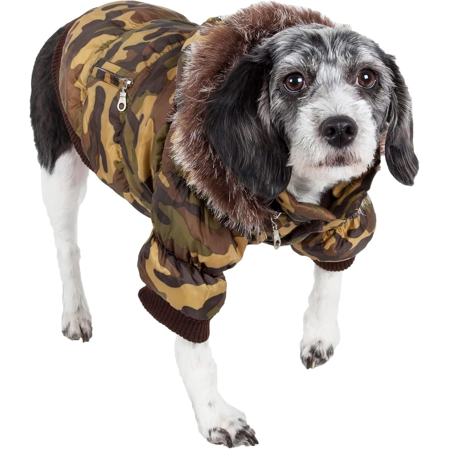 Waterproof Fashion Pet Parka Coat for Dogs with Hood and Reflective ...