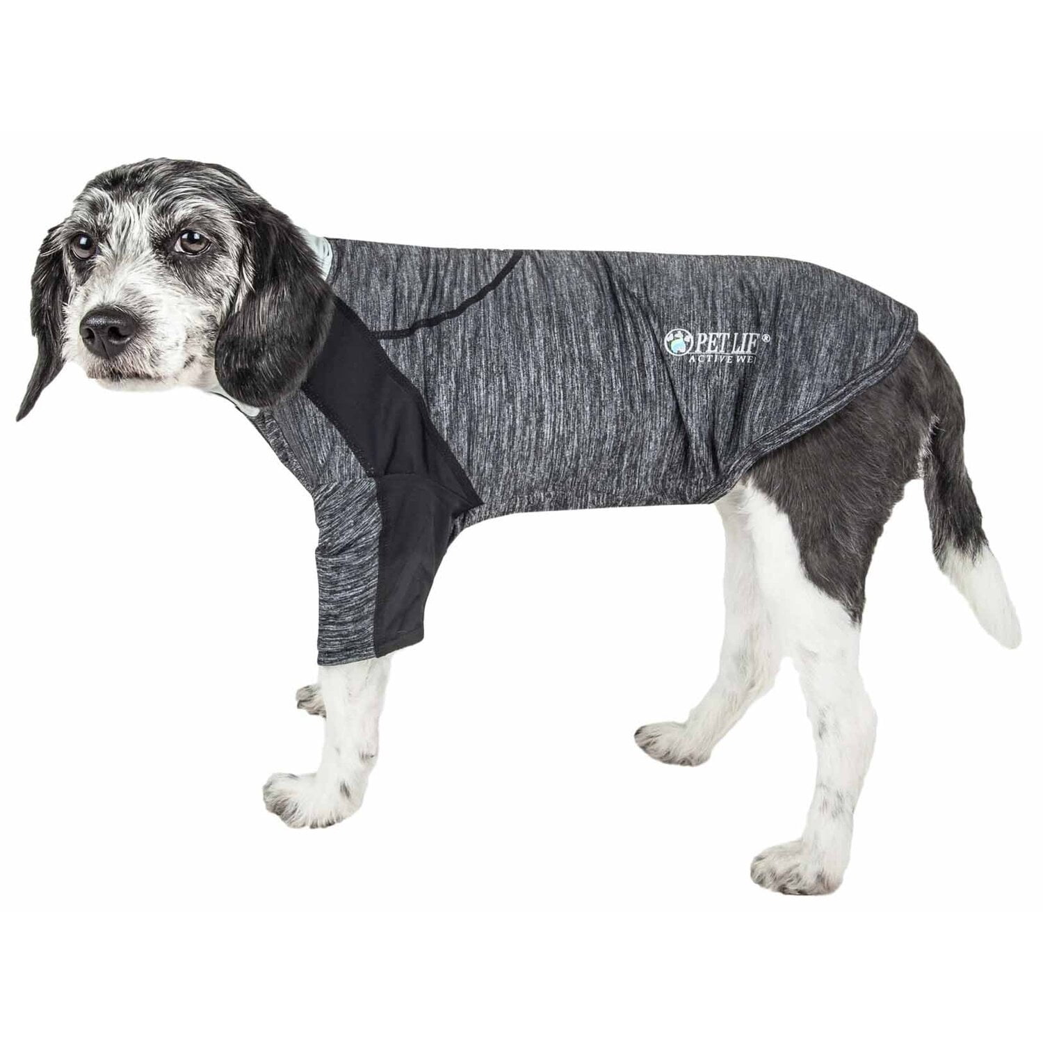 Pet Life ® Active 'Chewitt Wagassy' 4-Way-Stretch Yoga Fitness Long ...