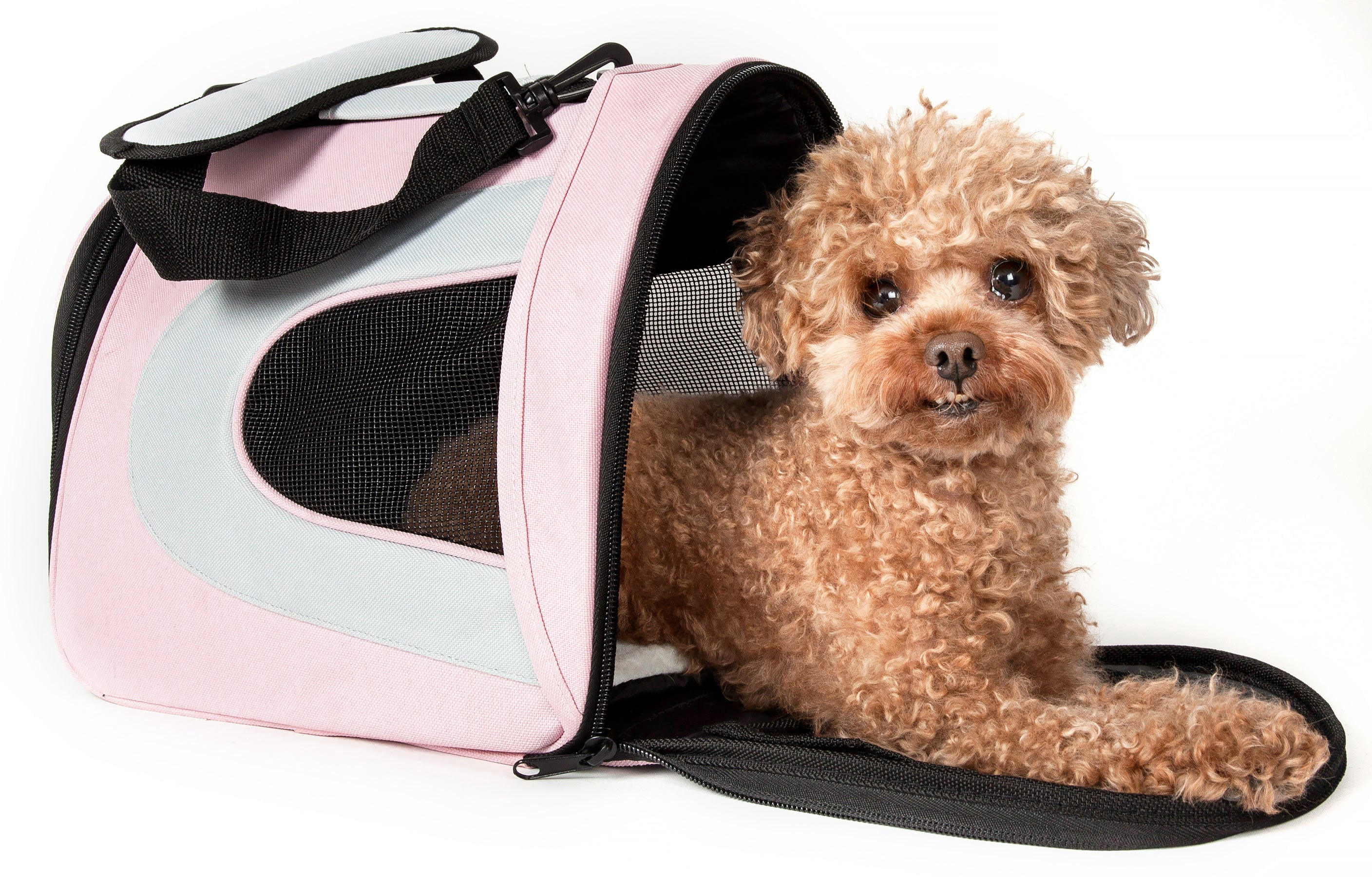 Airline Approved Folding Zippered Sporty Mesh Pet Carrier - Walmart.com