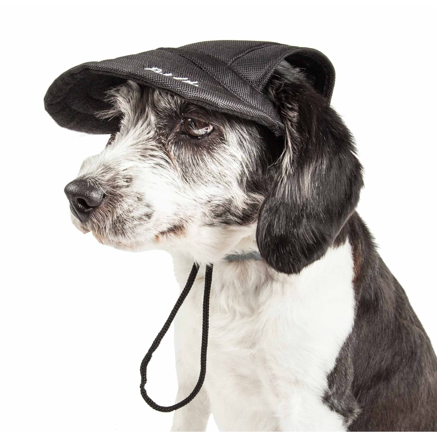 Pet Life 'Cap-Tivating' Uv Protectant Adjustable Fashion Dog Hat Cap ...