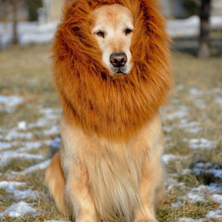 Pet Lion Headgear Wig Dog Wig Halloween Pet Supplies Mane Lion Wig Dog ...