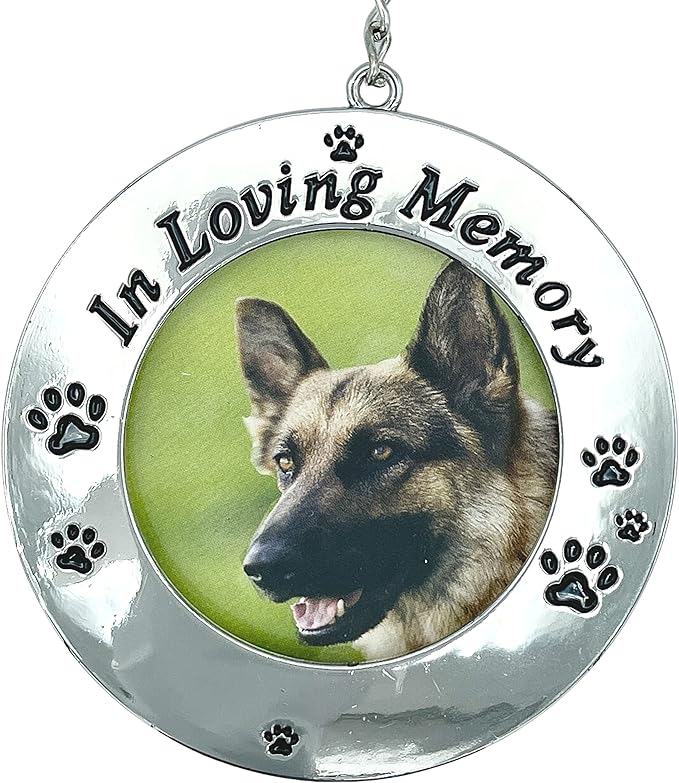 Pet Memorial Photo Frame Ornament in Loving Memory Pets Remembrance ...