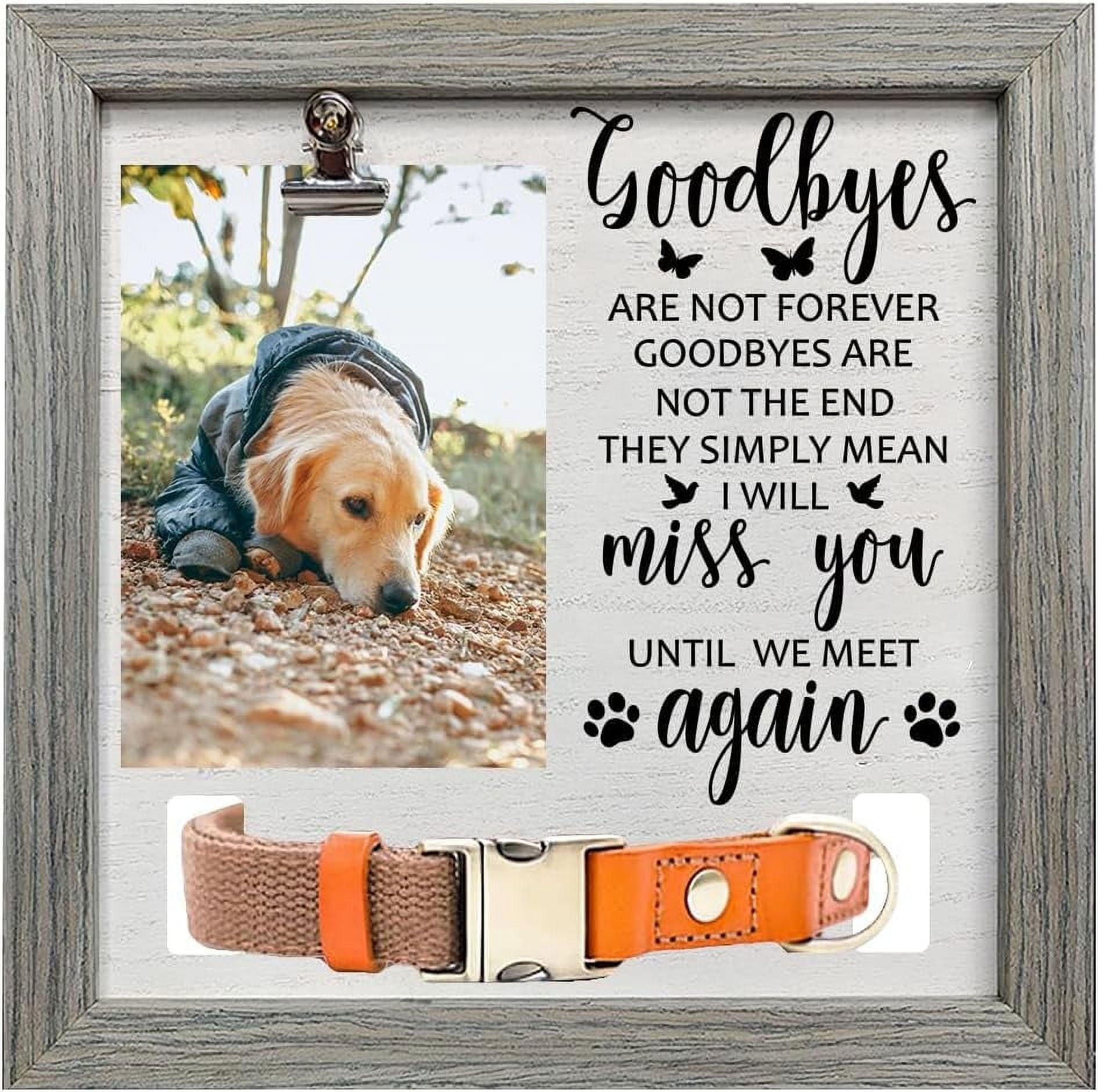 Pet Memorial Picture Frame 9x9 Goodbyes are Not Forever Goodbyes are ...