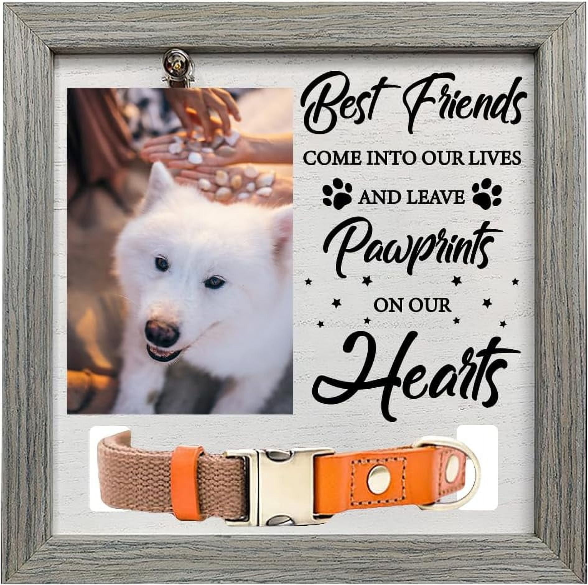 Pet Memorial Picture Frame 9x9 inch Best Friends Come Into Our Lives ...