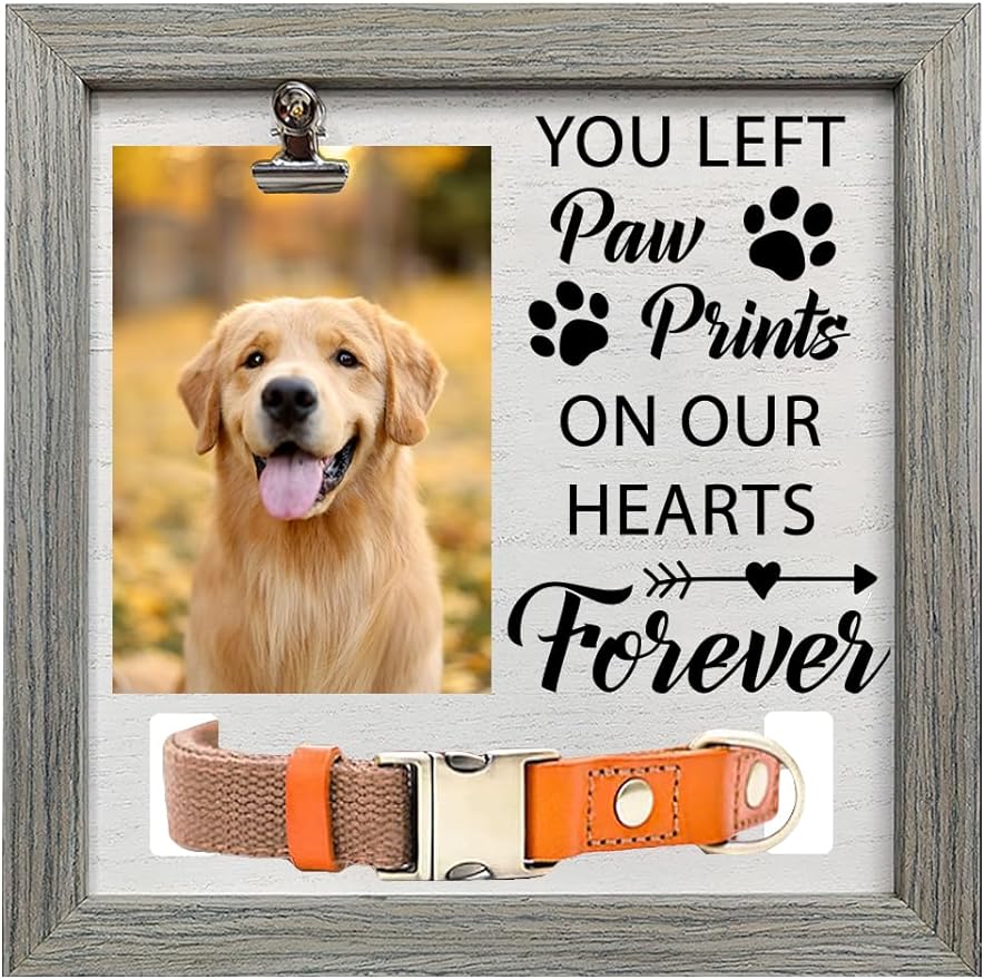 Pet Memorial Picture Frame 9x9inch You Left Paw Prints on Our Hearts ...