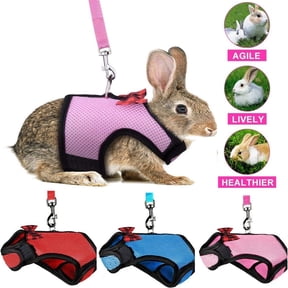 Bunny Rabbit Harness with Leash Cute Adjustable Buckle Breathable Mesh ...