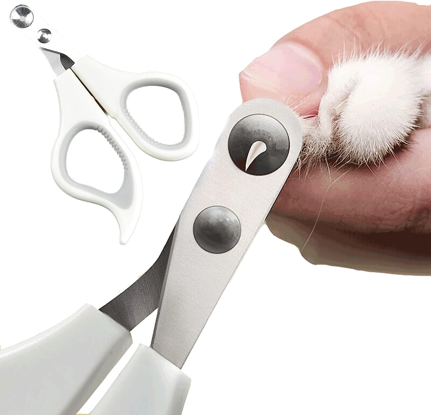 Pet Nail Clippers for Small Animals - Best Cat Nail Clippers & Claw ...