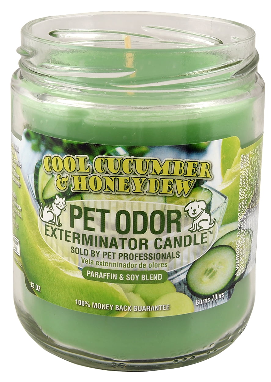 Pet Odor Exterminator Candles, Cool Cucumber & Honeydew, 13 oz ...