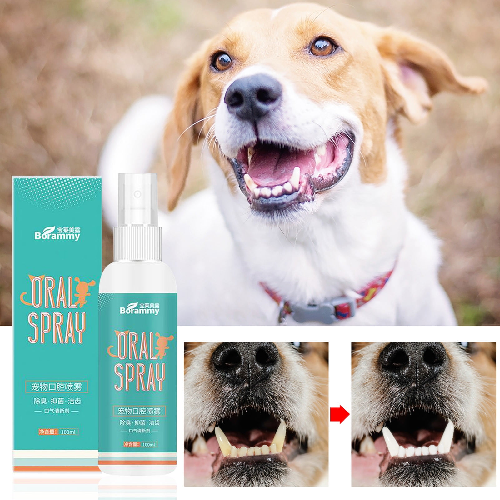 Pet Oral Spray for Dogs | Fresh Breath & Oral Cleaning | Removes Bad ...