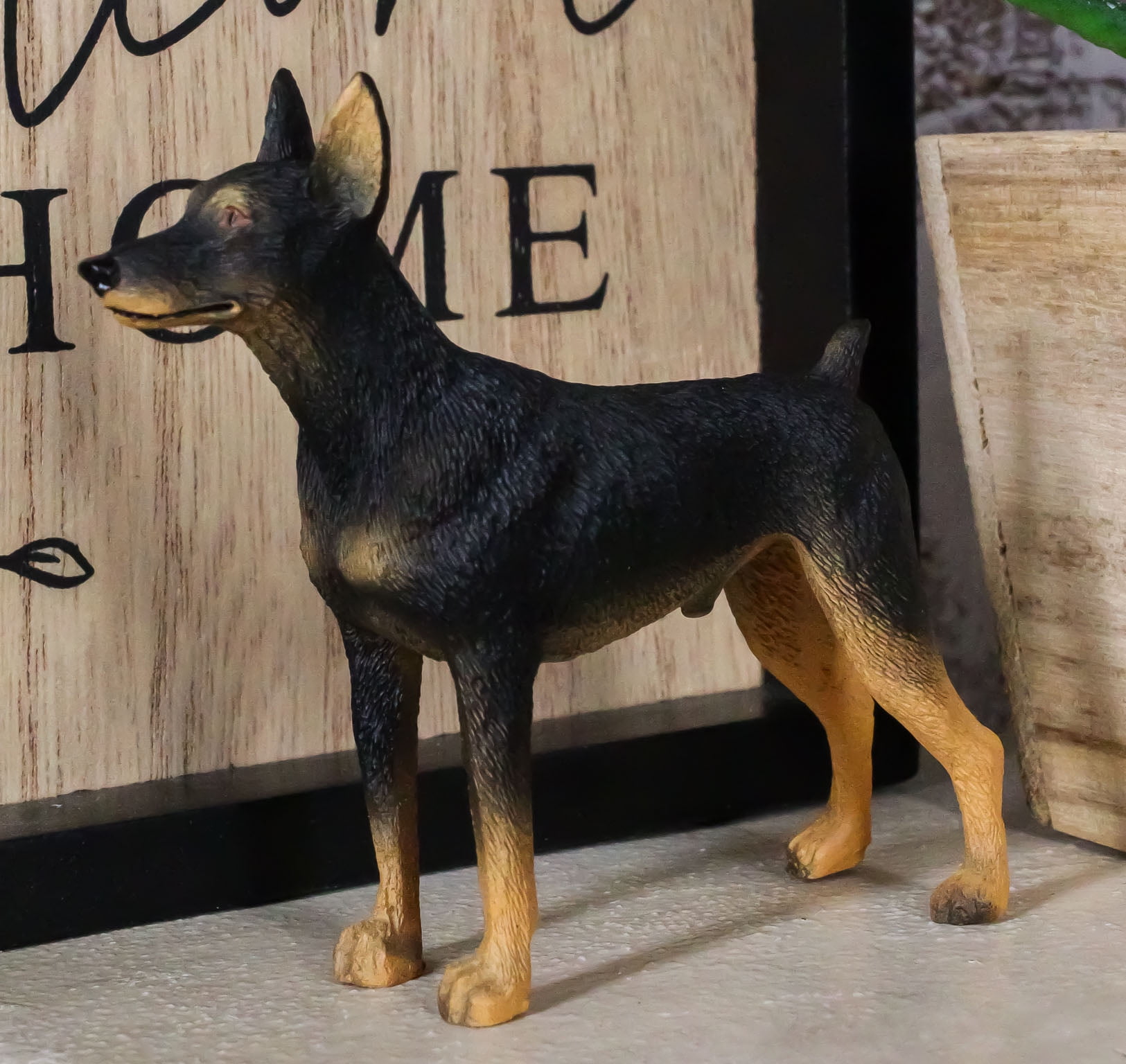 Miniature Doberman