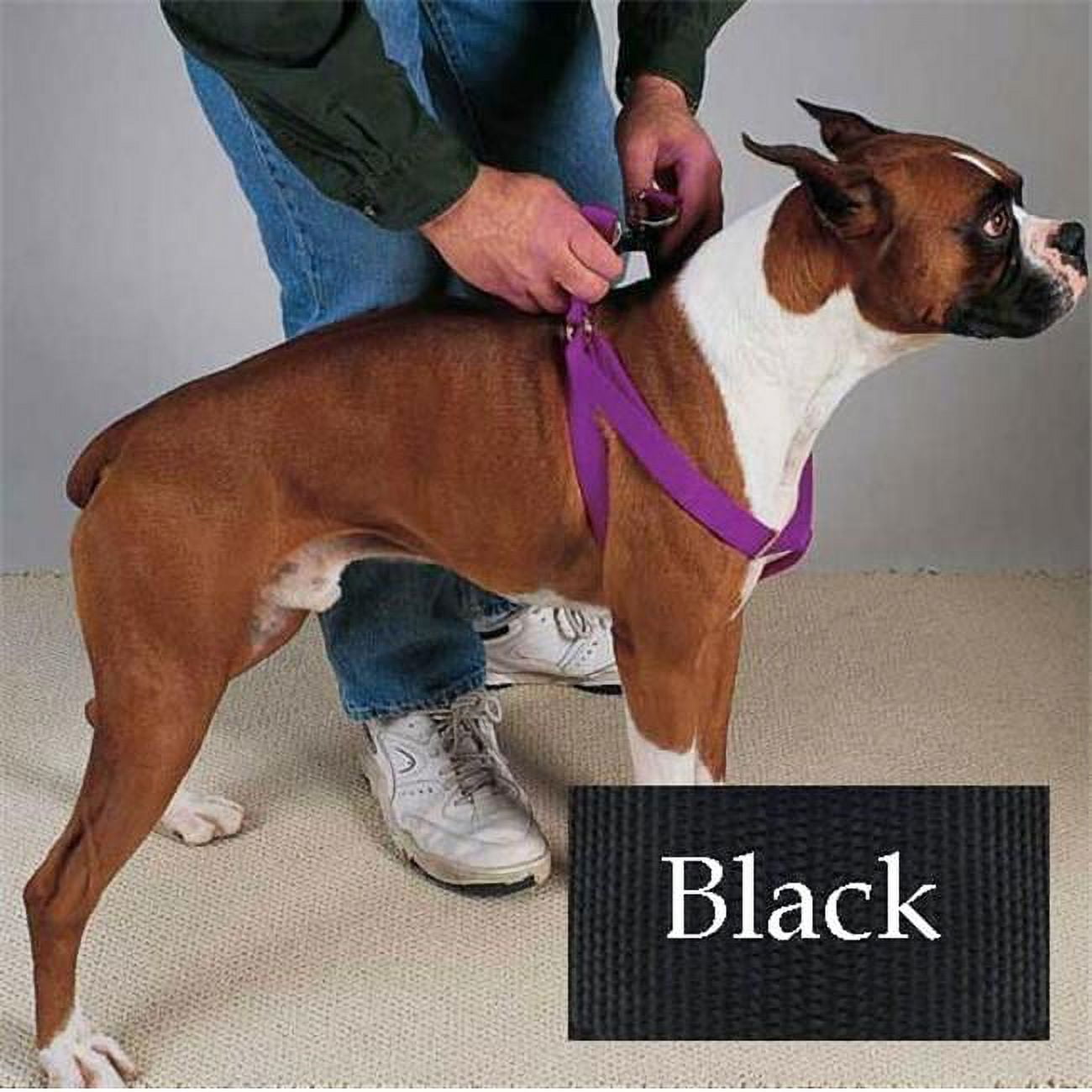 Guardian Gear Nylon 2 Step Harness 2 5-40in Blk - Walmart.com