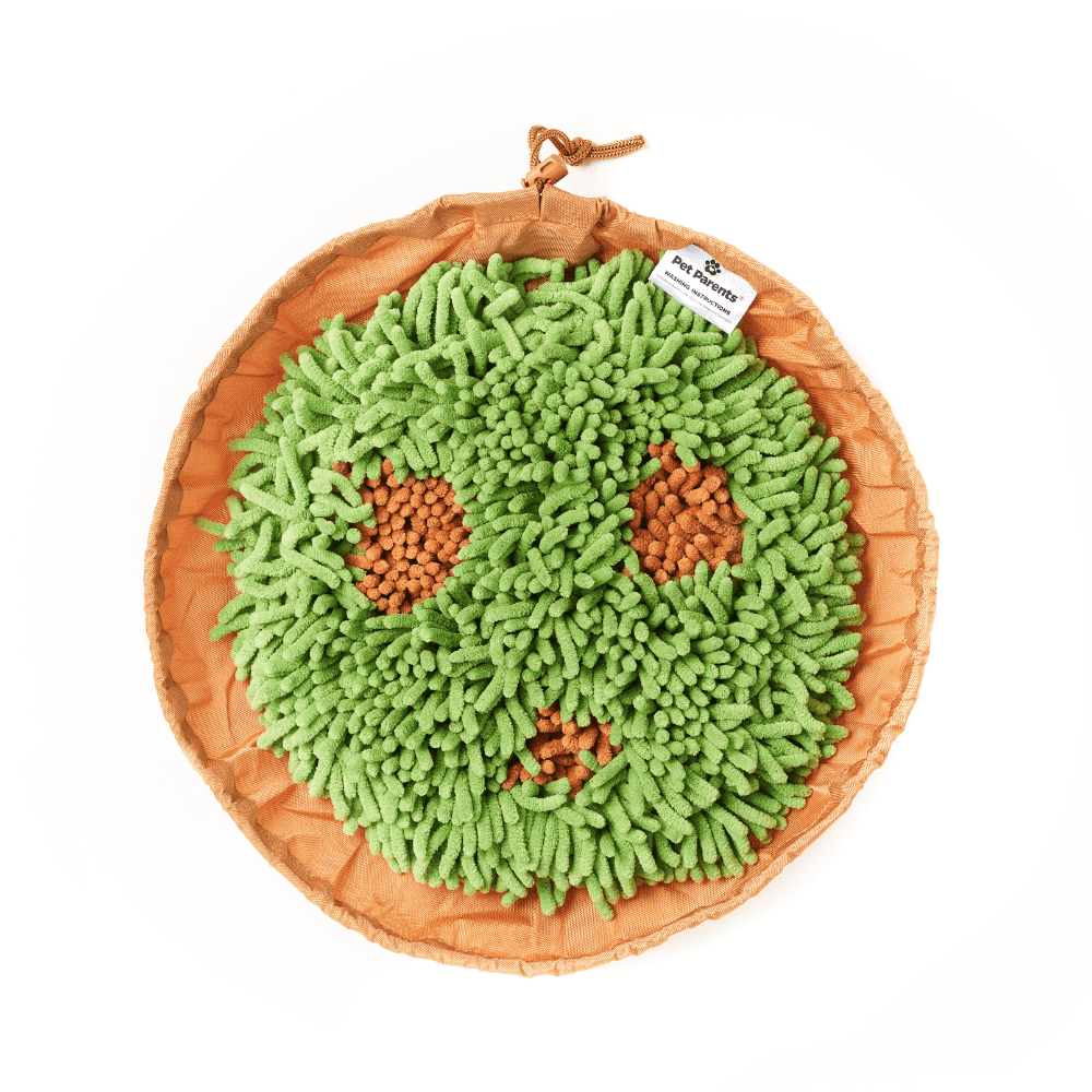 Pet Parents® Forager® Bowl, Slow Feeder Dog Bowl with SoftSnout ...