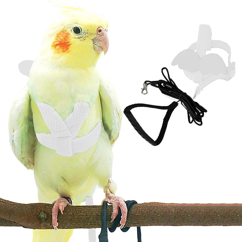 Pet Parrot Bird Harness and Leash, Adjustable Training Design Anti-Bite ...