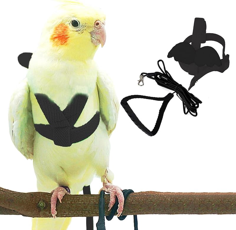Pet Parrot Bird Harness and Leash, Adjustable Training Design Anti-Bite ...