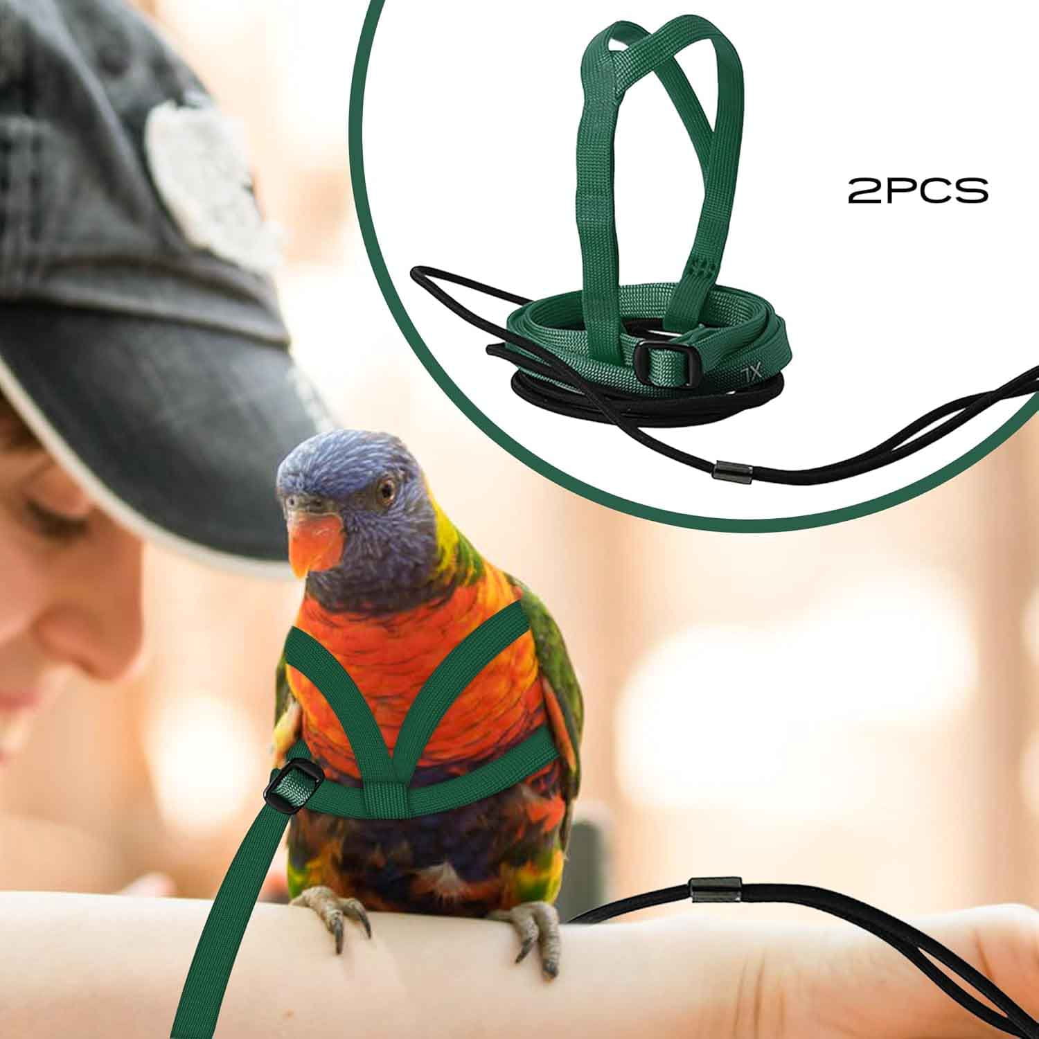 Pet Parrot Bird Harness and Leash, Adjustable Training Design Anti-Bite ...