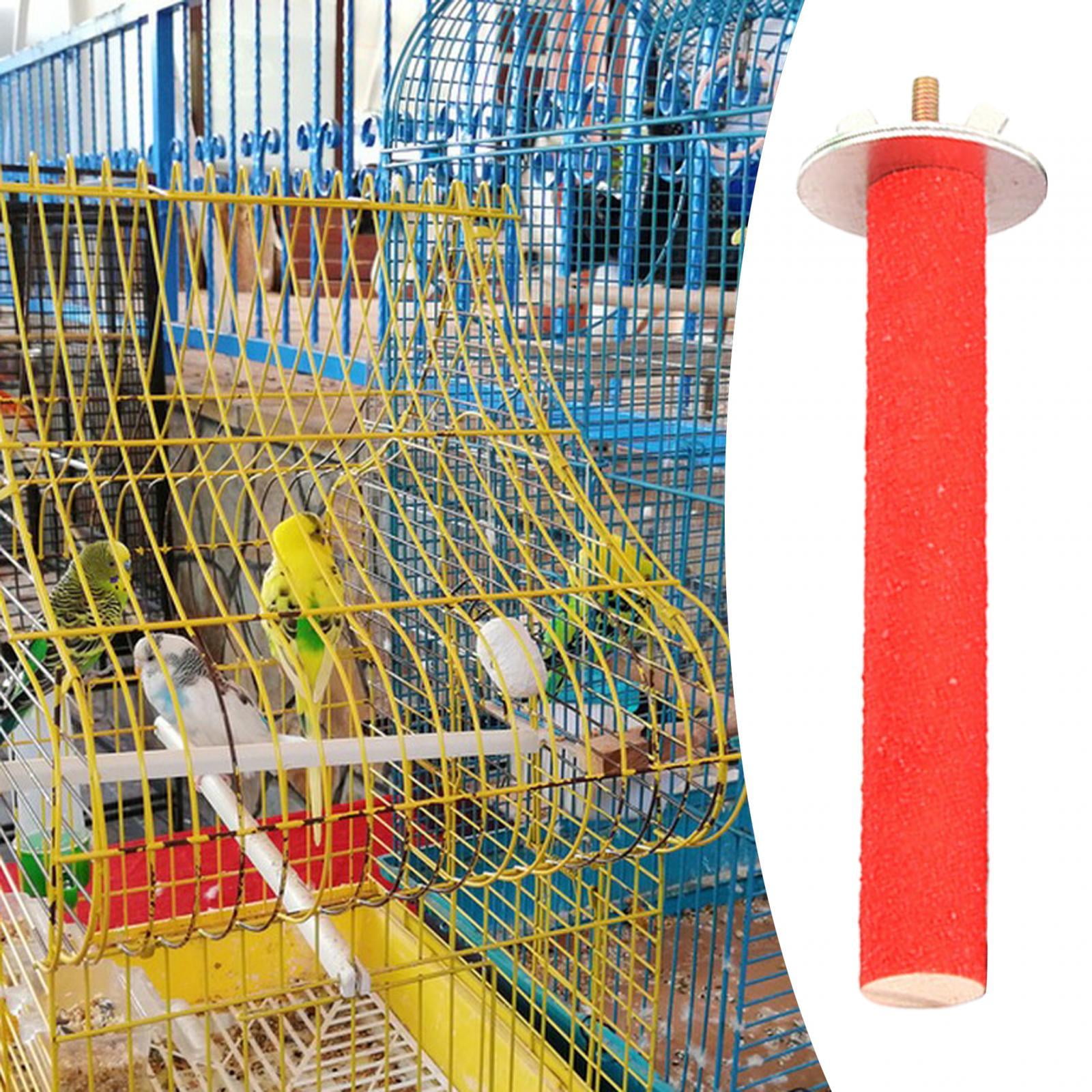 Pet Parrot Perch Bird Stand Standing Rod Training Foot Toy Wood ...