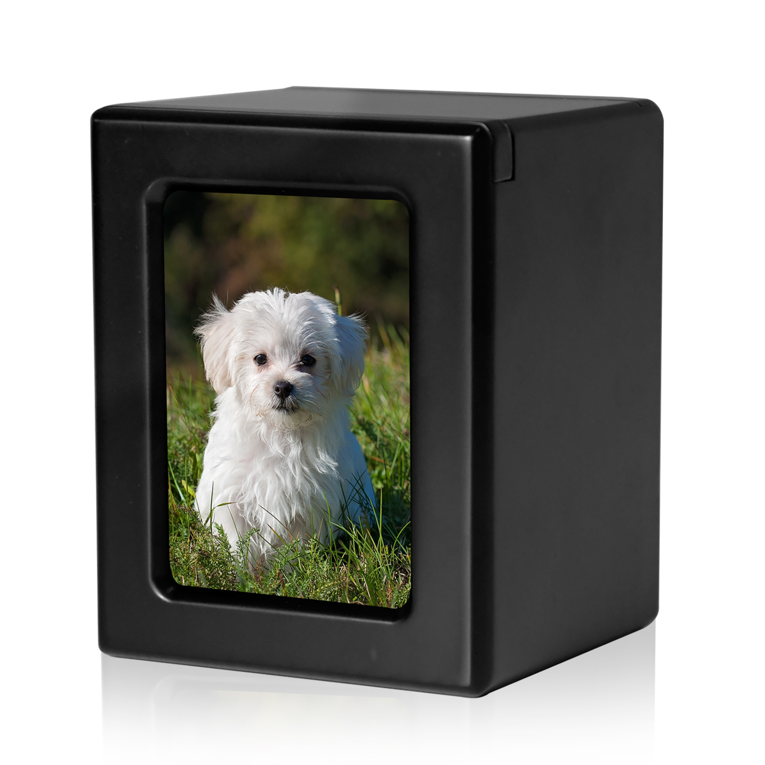 Pet Photo Urns for Dogs Ashes, Dog Urns for Ashes, Pet Cremation Box ...