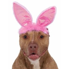 Dog Easter Bunny Ears for Party & Occasions