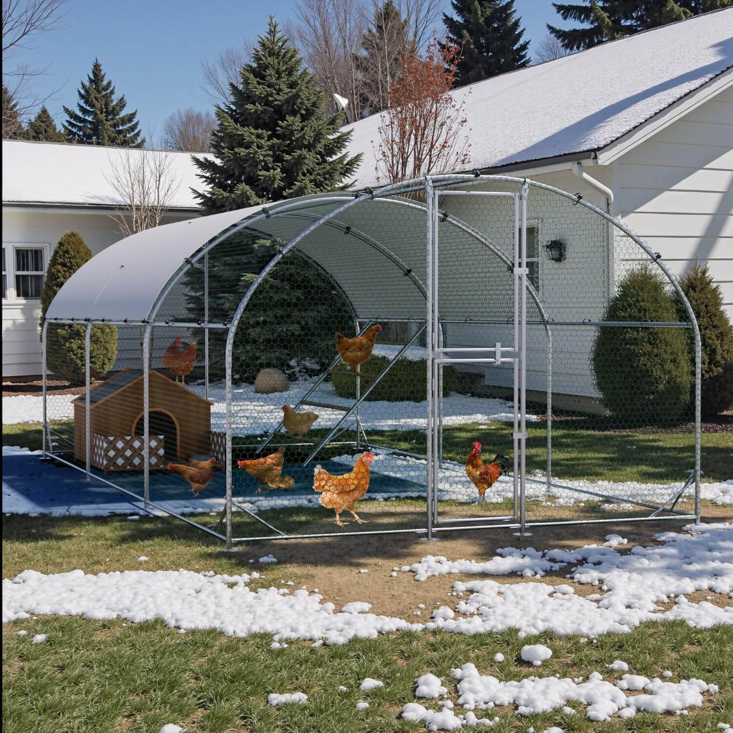 Pet Playpen Large Metal Chicken Coop, 10x20x6.5FT Dome Chicken Runs for ...